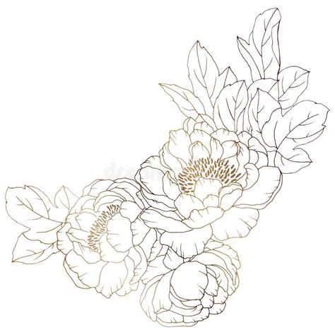 2498 Flower Vector Illustration Linear Drawing Flowers With Leaves