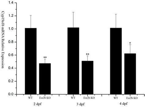 Genes An Open Access Journal From Mdpi