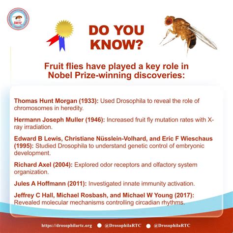 Nobel Prize For Fruit Flies Research Drosophila Research And Training Centre Posted On The