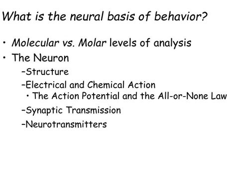 Ppt What Is The Neural Basis Of Behavior Powerpoint Presentation Free Download Id934385