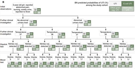 Predictions From The Applied Bn Under The Clinical Scenario B Download Scientific Diagram