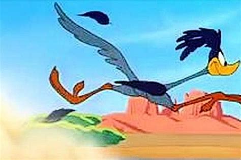 قسمت آخر کارتون میگ میگ تستچی