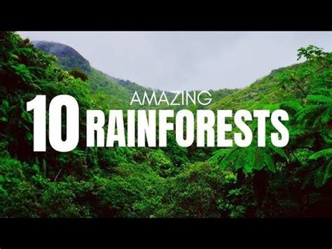 Amazon Jungle Main Sone Ke Share Ka Kya Hai Rahasy Youtube