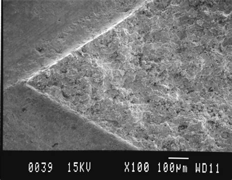 Typical Sem Micrograph Of The Fracture Surface Of The Chevronnotched Download Scientific