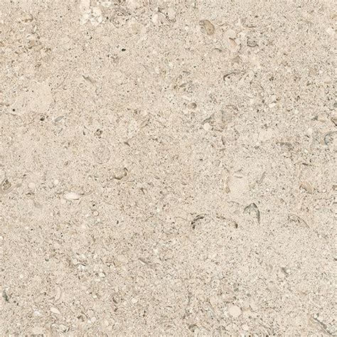 Tesoro Shellstone Series 24 In X 24 In Rectified Porcelain Tile