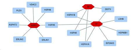 the viral proteins involved in metabolic reprogramming s1 regulated