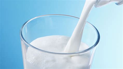 Analisadores De Lacticínios Bruker