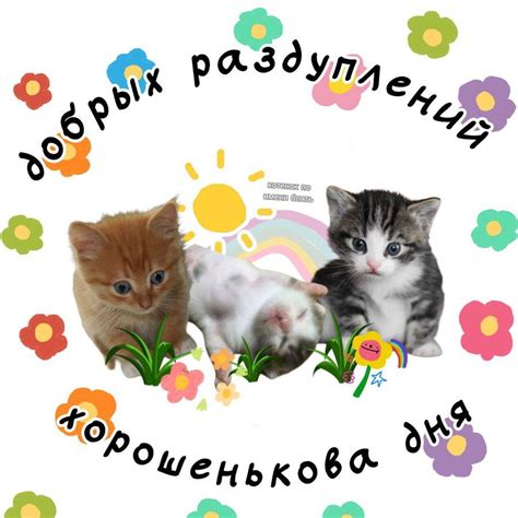 Пин от пользователя In A Minormood на доске Шуточная Кошачьи цитаты