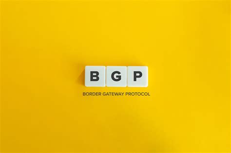 Border Gateway Protocol Distance Vector