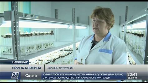 Перепелиный помет - основа для производства биотоплива - YouTube
