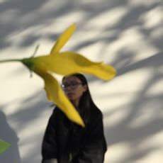 Strapi Open Source Headless CMS On Behance