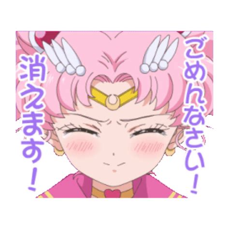 Sticker Maker Pretty Guardian Sailor Moon Eternal 動態