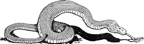 Python Fix Syntaxwarning Assertion Is Always True Adam Johnson