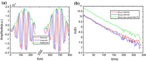 Dual Slice Cpmg Sequence To Measure T2 Of Doped Water The Subsequences Download Scientific