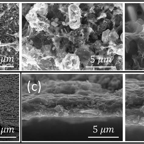 Micrographs Of 3d Porous Graphene Oxide Silver Nanowire Go Agnw 1 1