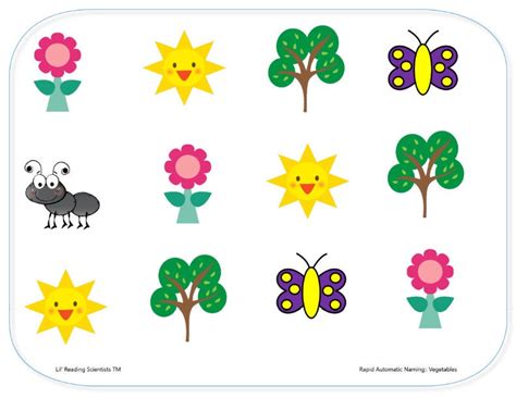 Rapid Automatic Naming 2 Categories Etsy Uk