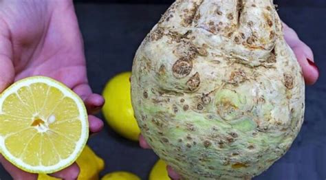 Celer I Limun Jednostavan Napitak Koji Pročišćava Organizam Od Masnoće… Prirodno Zdravlje