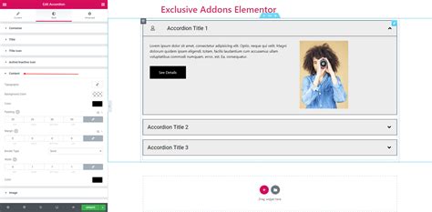 How To Configure Style Accordion Widget With Elementor Exclusive Addons