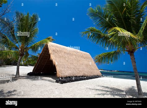 Hawaiian Island Huts On The Ocean