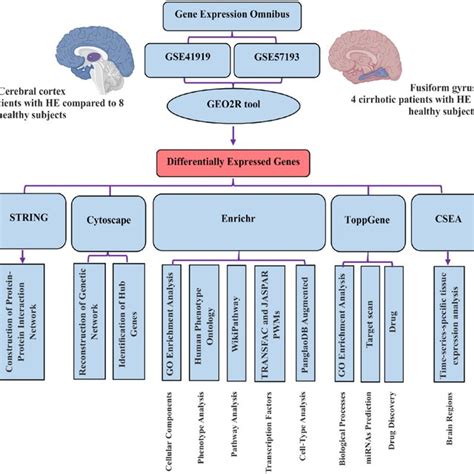 schematic overview of conducted bioinformatics approach two data sets
