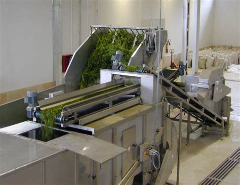 Processing Line For Leafy Vegetables Binder Dehydration Gmbh