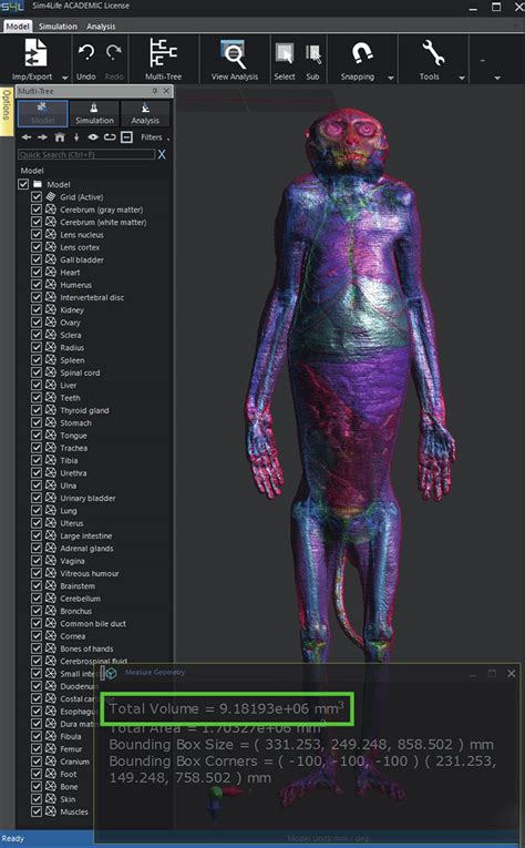 voxel models from stl files on sim4life software a voxel volumes