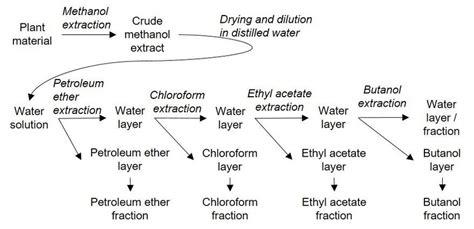 Extraction And Fractionation Procedure Download Scientific Diagram