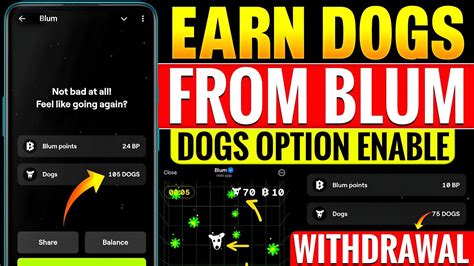 Earn DOGS From Blum | Blum Airdrop DOGS Withdraw | Earn Dogs on Blum ...