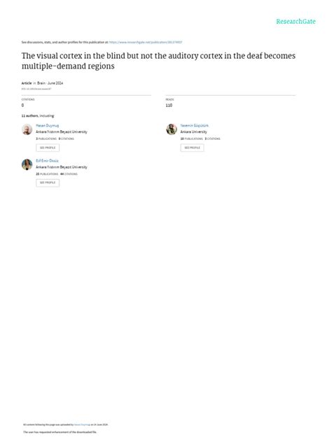 Visual Cortex In Blind Pdf Linear Regression Attention