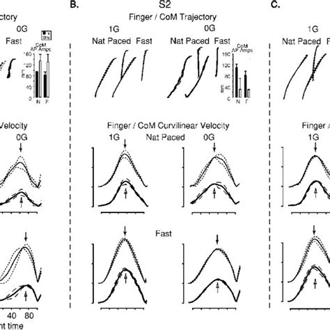 Sagittal Plane Trajectories And Curvilinear Velocity Profiles Of The