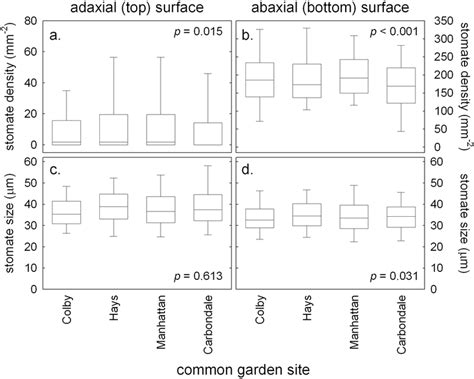 Box Plots Showing Stomatal Density A B And Stomatal Size C D On