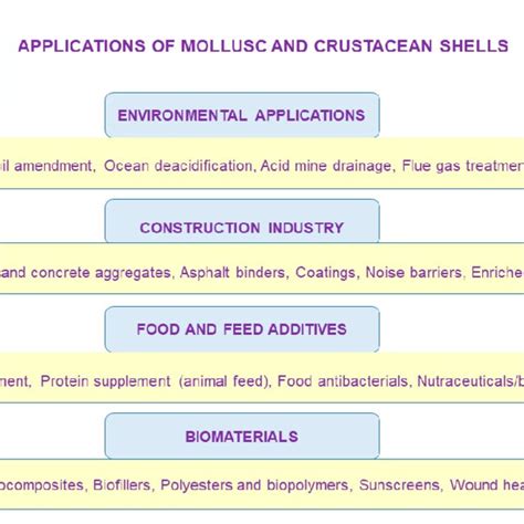 Chemical Composition Of Various Raw Bivalve Shells Adapted From