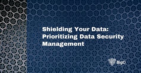 prioritizing data security management bigid