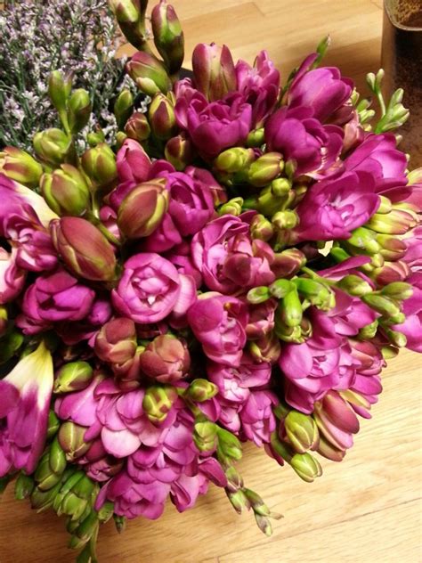 『노원자수』 토닥토닥 자수공방에서 웨딩부케 수놓아 간직하기꽃자수프랑스자수야생화자수 네이버 블로그