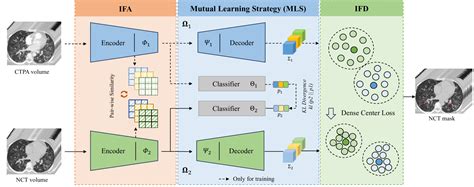 Cross Phase Mutual Learning Framework For Pulmonary Embolism