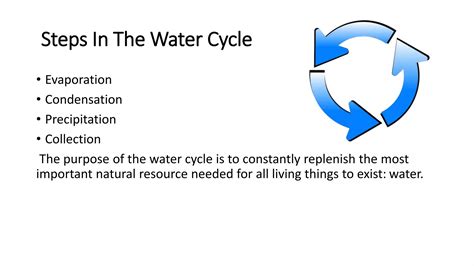 Why Is Precipitation Important In The Water Cycle