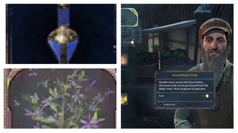How To Obtain Fluxweed Stem In Hogwarts Legacy Media Referee