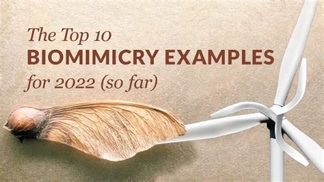Natureinspired Design 10 Examples Of Biomimicry All