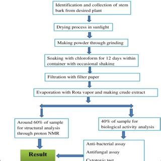 A Flow Chart Showing Step By Step Experimental Procedures Used In The Study Download
