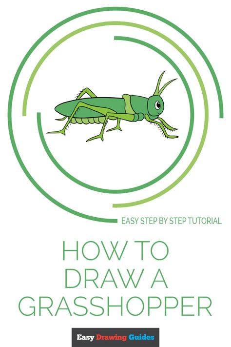 How To Draw A Grasshopper Drawing Tutorial Easy Drawing Tutorials