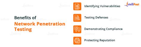 Network Penetration Testing Importance Types And Tools
