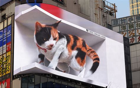 News Why Are There Outdoor Naked Eye D Billboards Everywhere