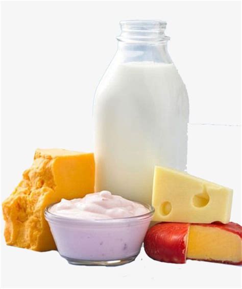 우유 요구르트 치즈 버터 우유 치즈 제품의 종류 Png 일러스트 및 Psd 이미지 무료 다운로드 Pngtree Food Sensitivities Foods