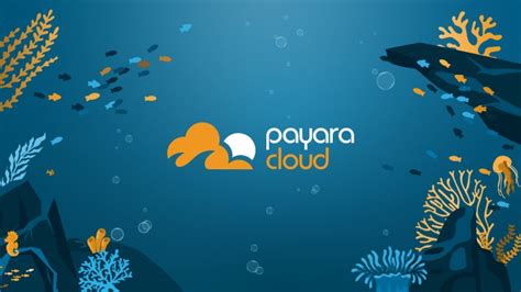 Payara Services Ltd On Linkedin Payaracloud Cloudnative Jakartaee