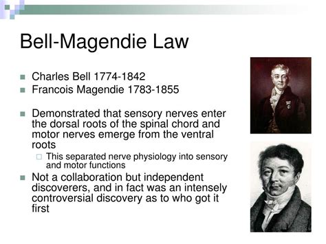 Ppt The 19 Th Century Powerpoint Presentation Free Download Id 1090043