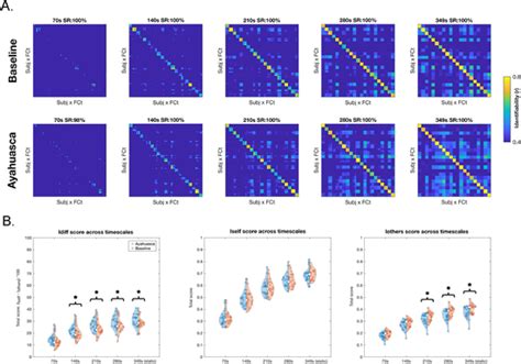 Whole Brain Measures Of Dynamic Identifiability A Dynamic