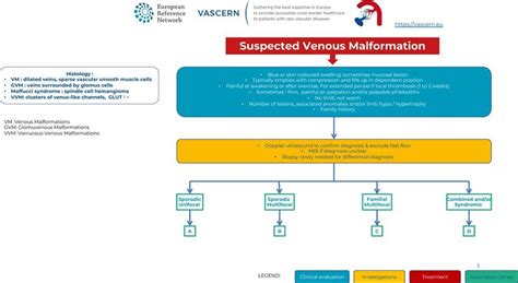 Diagnosis Of Venous Malformations Download Scientific Diagram