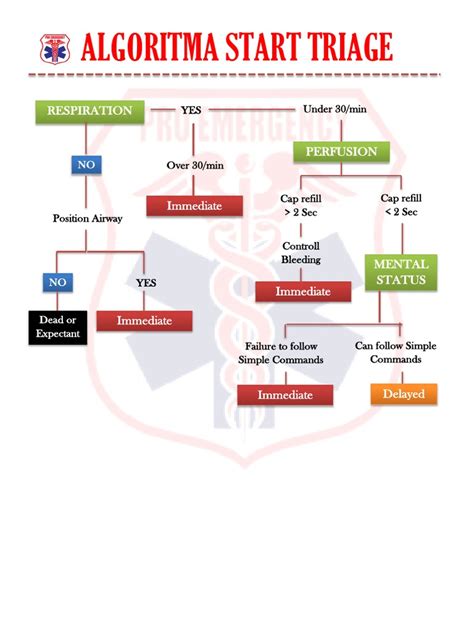Algoritma Start Triage Pdf Pdf