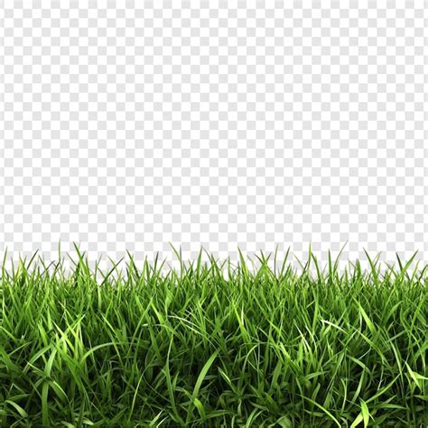 Grass Psd High Quality Free Psd Templates For Download Freepik