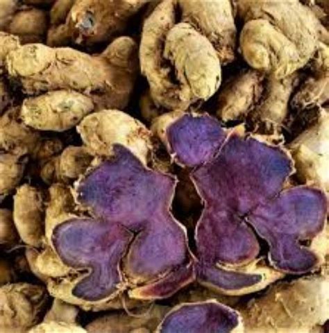 A Grade Black Ginger 5 Kg At Best Price In Thane Id 24022202291